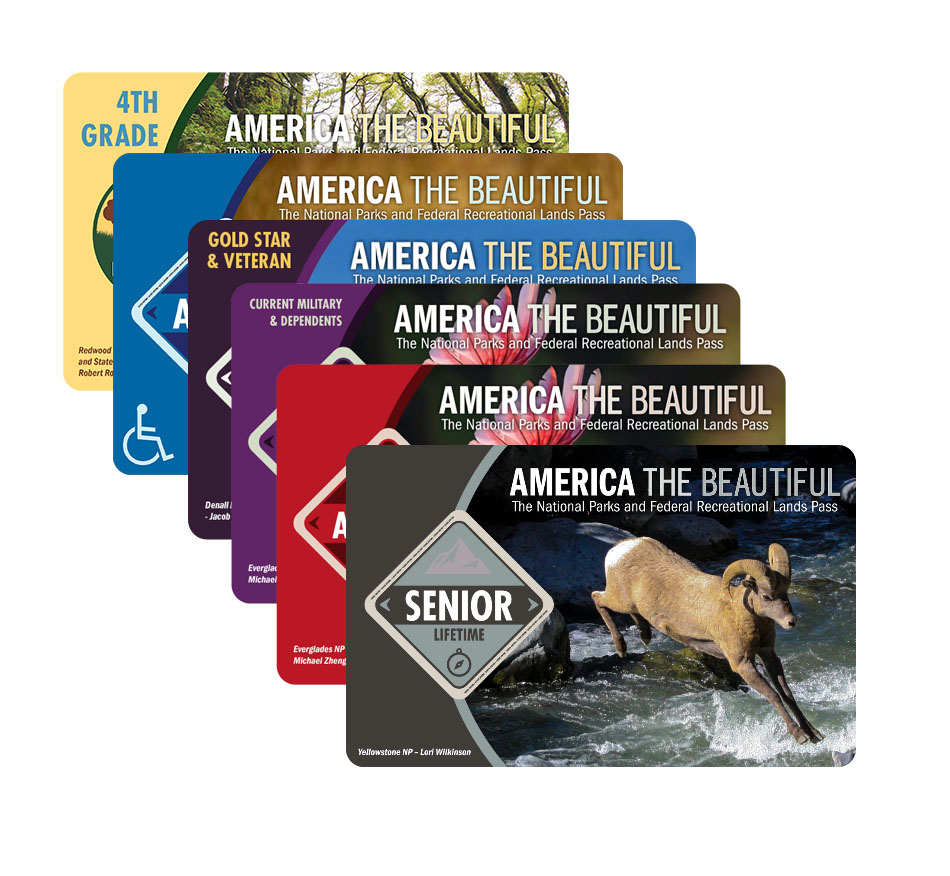 Which Yellowstone Park Pass Do I Need? | Yellowstone Wild Tours